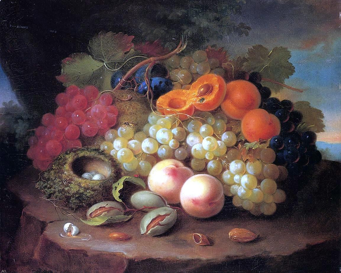 George Forster Still Life with Fruit and Bird's Nest Oil Painting ...