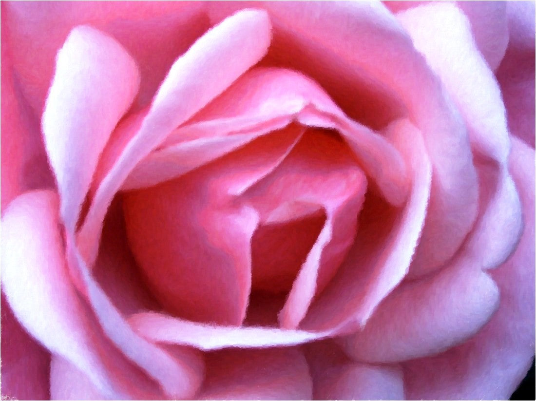 Our Original Collection Exquisite Pink Rose Oil Painting ...